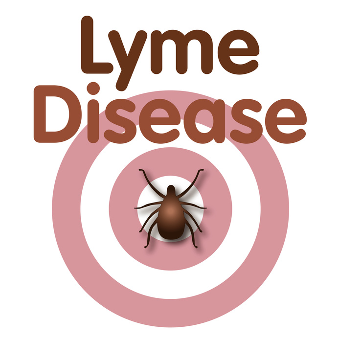 Lyme Disease, Tick, Bulls-eye Rash - Dr Gary S. Gruber Family and ...